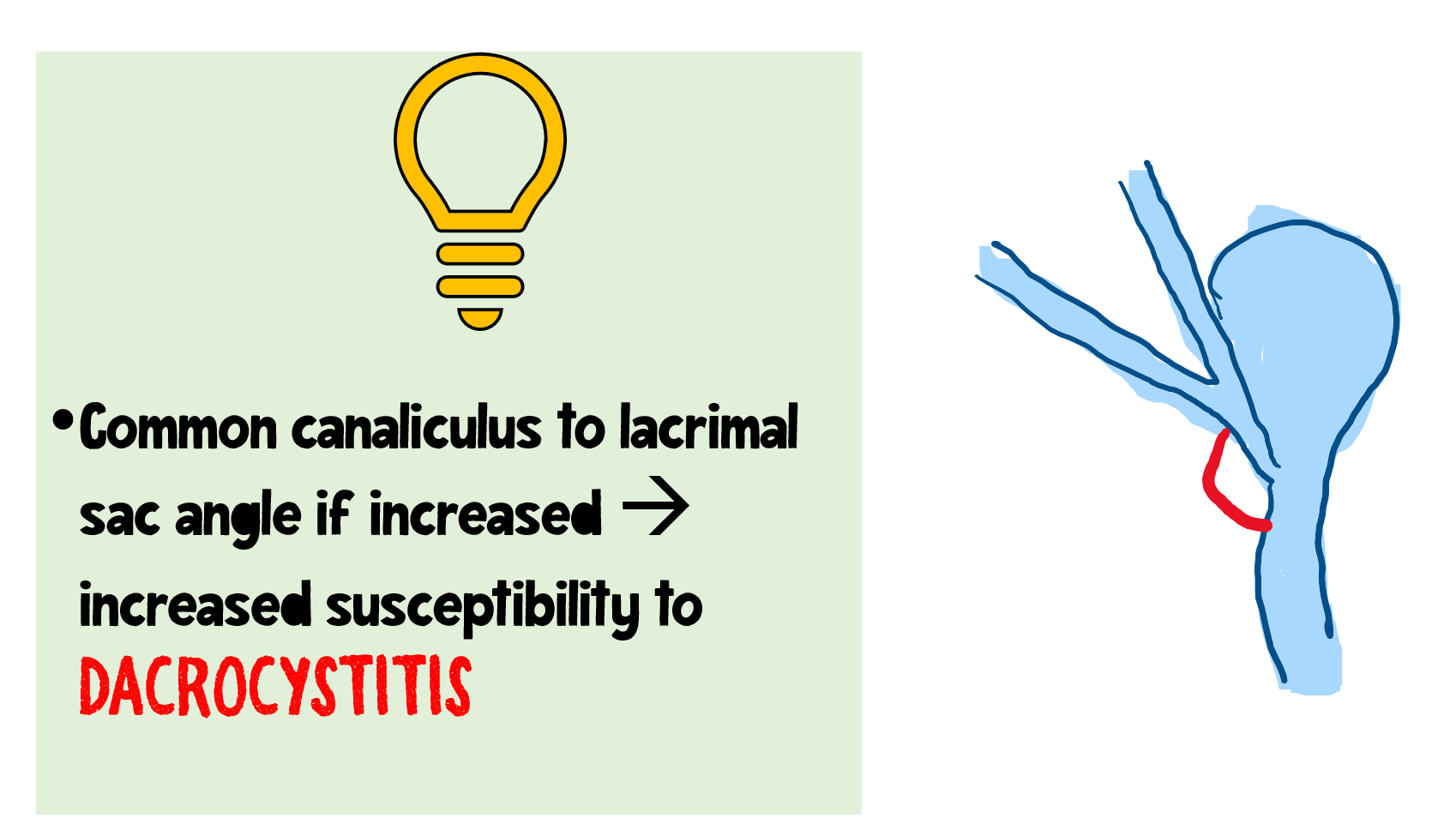 Anatomy of Lacrimal Apparatus Made Insanely Easy - INSIGHT OPHTHALMOLOGY