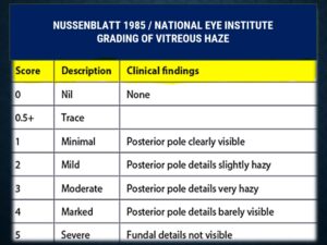 Intermediate Uveitis: Understanding Symptoms, Signs and Complications ...