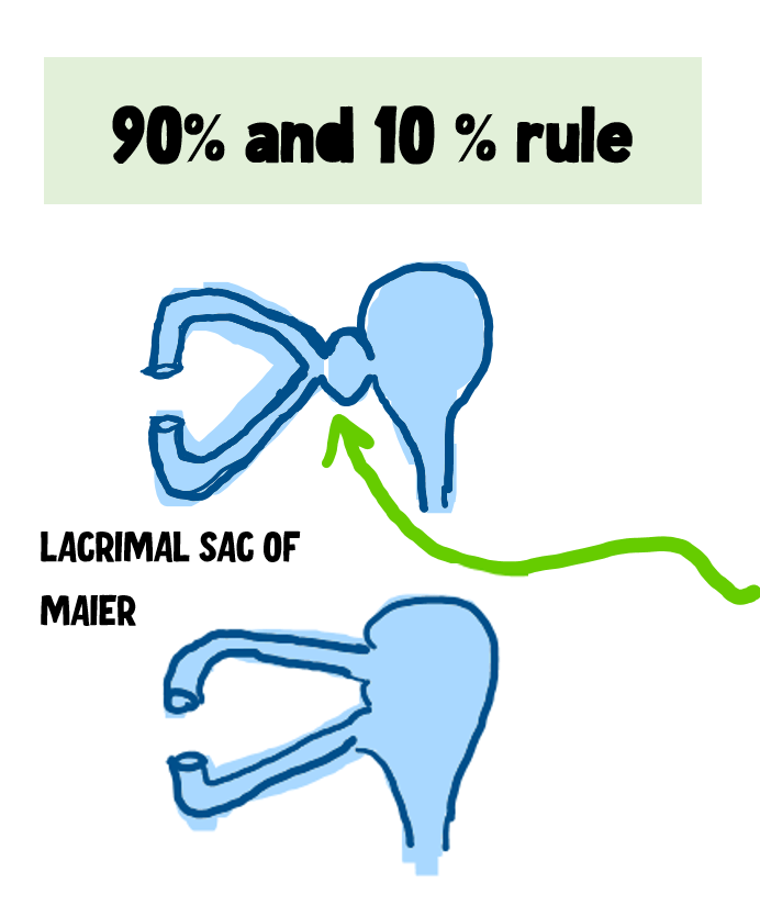 Anatomy of Lacrimal Apparatus Made Insanely Easy - INSIGHT OPHTHALMOLOGY